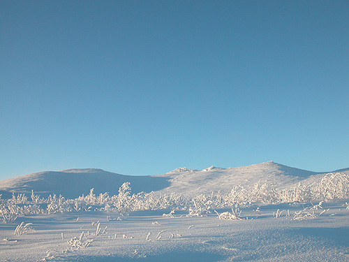 M's Project Alaska Aurora Photograpoh 2005